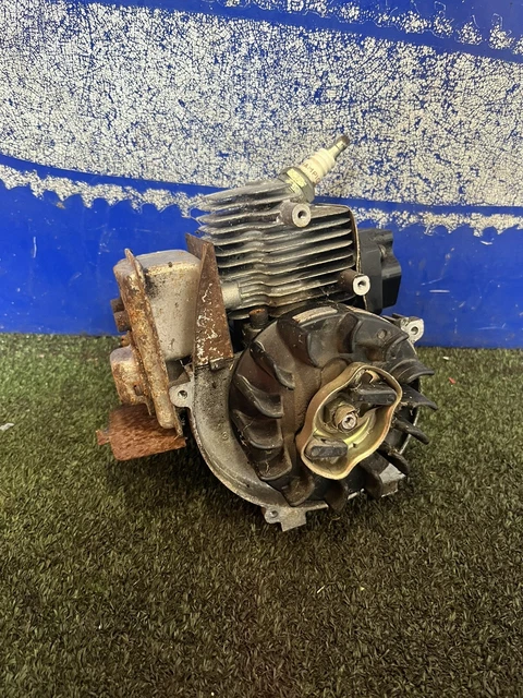 MANTIS 2 STROKE Petrol Tiller Rotovator Engine Assembly Type Sv-4b £28. ...