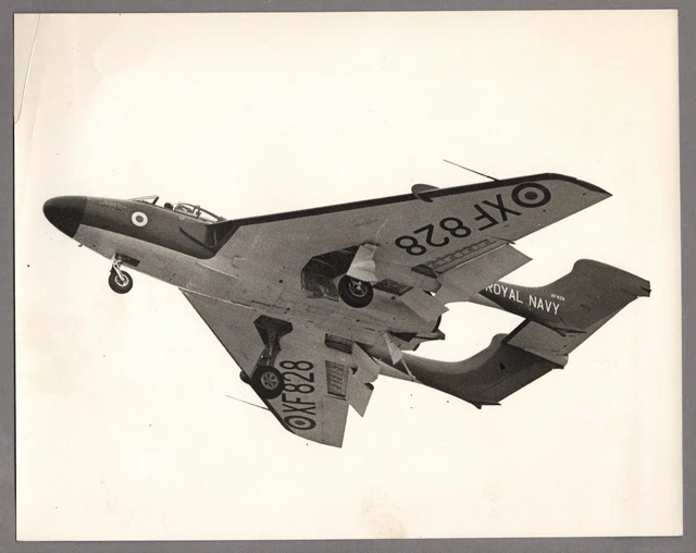SEA VIXEN 3RD Prototype Large Original Vintage Press Photo Dh110 Royal ...