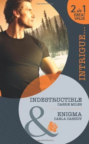 INDESTRUCTIBLE: INDESTRUCTIBLE / Enigma (Mills & Boon Intrigue)-Cassie ...