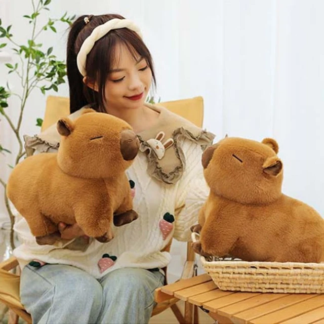 SIMULATION CAPYBARA PLUSH Toy Fluffy Capibara Anime Fluffty Toy Home ...