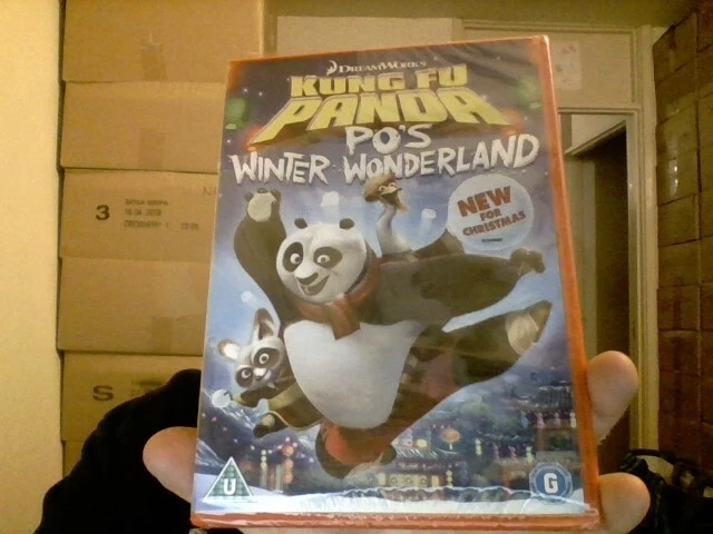 KUNG FU PANDA - Po's Winter Wonderland (DVD, Animation, 2012) New ...