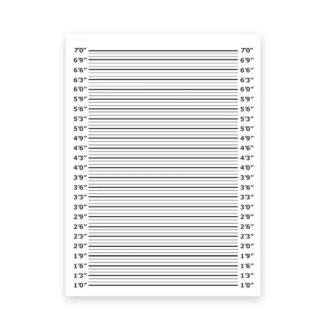 MUGSHOT PHOTO BOOTH Backdrop 5x7ft - Police Lineup Background with ...