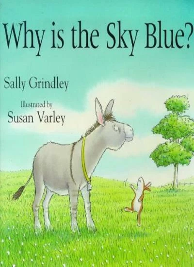WHY IS THE Sky Blue? By Sally Grindley, Susan Varley £2.56 - PicClick UK