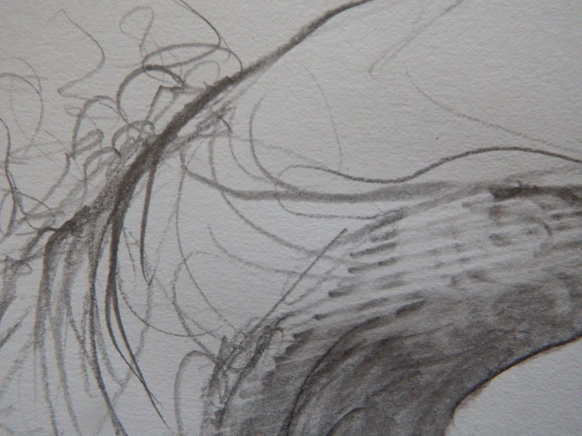 EXPRESSIVE STYLE GRAPHITE Pencil Drawing of an Erect Penis Male ...