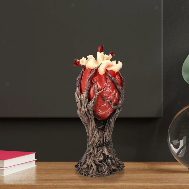 HUMAN HEART STRUCTURE Model Structure for Office Bookshelf Housewarming ...
