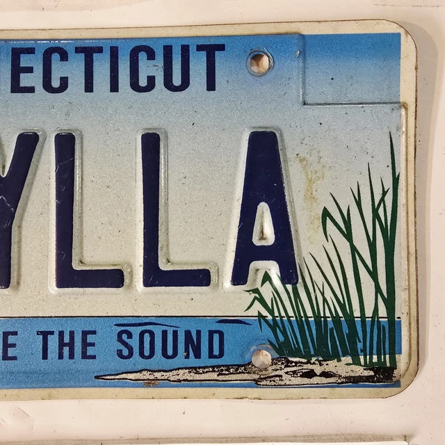 CONNECTICUT LIGHTHOUSE LICENSE Plate 🔥Free📬🔥 Nylla ~ Personalized ...