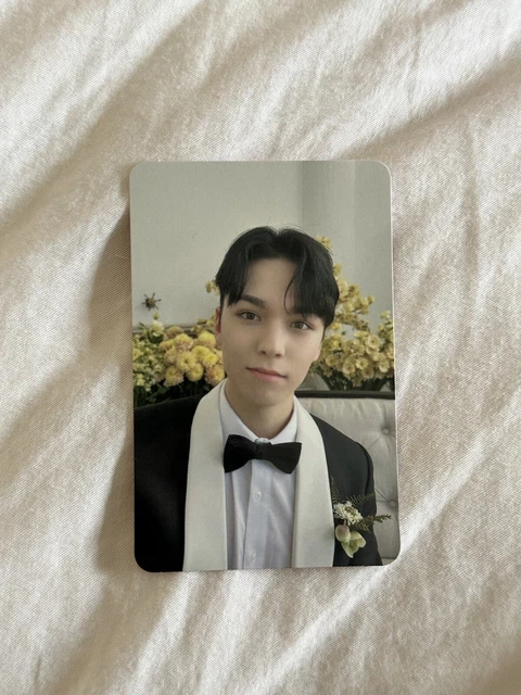 SEVENTEEN VERNON MINI10 FML Carat Version Official Photocard #1 EUR 3 ...