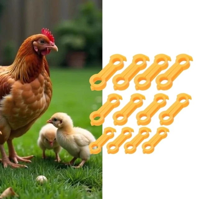 PLASTIC POULTRY LEG Stabilizers 12Pieces Chicken Health Maintenance ...