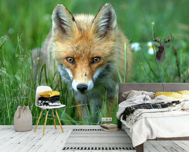3D ANIMAL FOX Grass 5977NA Wallpaper Wall Mural Removable Self-adhesive ...