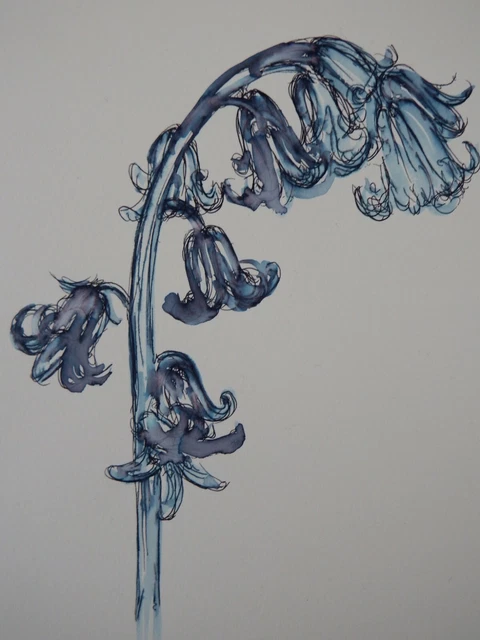 ORIGINAL PEN & ink wash flower drawing of bluebells on watercolour ...