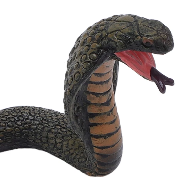 SNAKE GROWTH CYCLE Model Toys Educational Snake Life Cycle Figurine Set ...