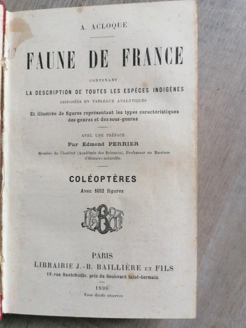 FAUNE DE FRANCE : LES Coléoptères-1896-A. ACLOQUE EUR 25,00 - PicClick FR