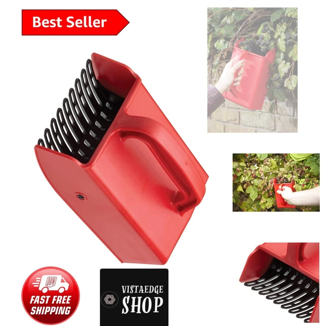 JONAS BERRY PICKER Tool | Efficient Blueberry Rake for Thorns ...