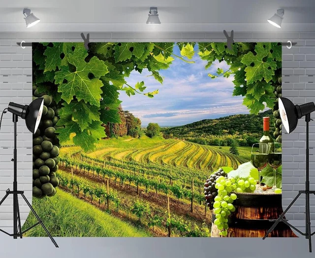 VINEYARD BACKDROP 7X5FT Grapevine Wine Harvest Photo Backdrop Wedding ...