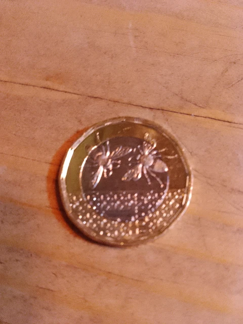 KING CHARLES BEES 2025 £1 One Pound Coin Rare £2.77 - PicClick UK