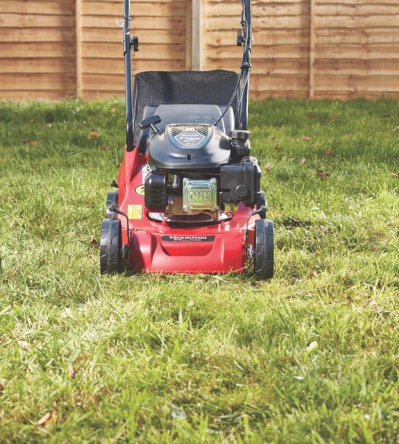 MOUNTFIELD HP164 39CM 123cc Hand-Propelled Rotary Petrol Lawn Mower £ ...