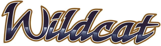 1 RV TRAILER Wildcat Logo Decal Graphic -727-2 EUR 42,66 - PicClick DE