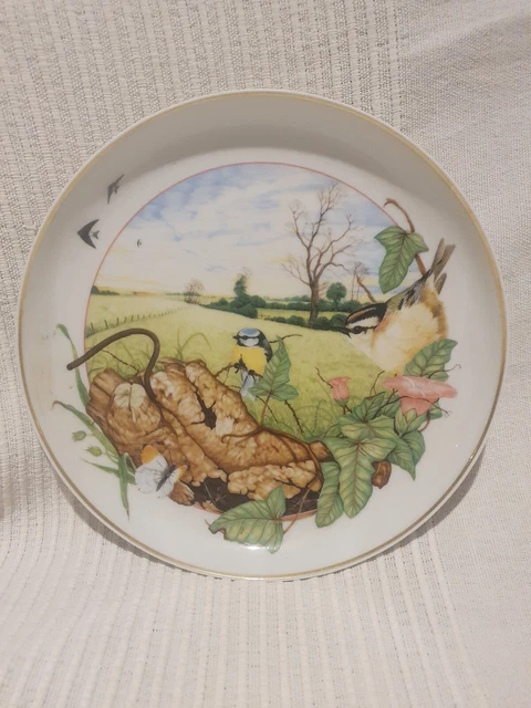 BIRDS OF THE Country Year Limited Edition Plate 1983 Martin Camm £9.99 ...