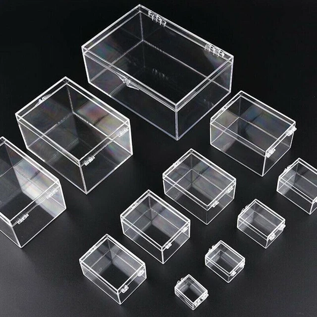 INSECT SPECIMEN DISPLAY Container Rectangular Clear Plastic Storage ...