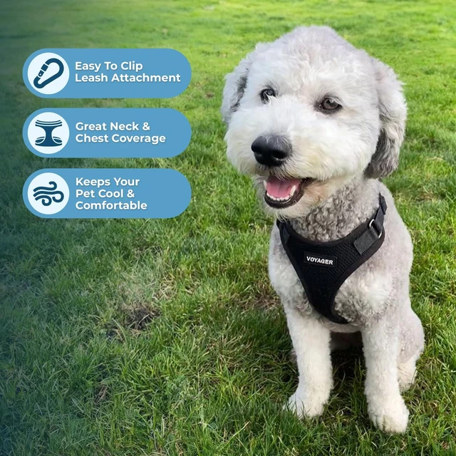 VOYAGER STEP-IN LOCK Dog Harness - Adjustable Step-In Vest Harness for ...