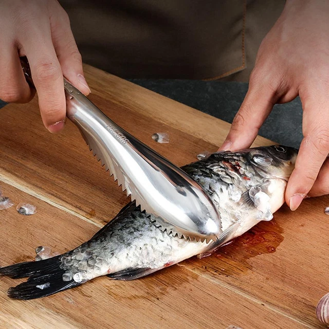 FISH SCALER STAINLESS Steel Fish Scaler Remover Sawtooth New Tool ...