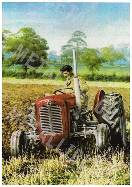 MASSEY FERGUSON 35 Tractor - Poster (A3) £2.95 - PicClick UK