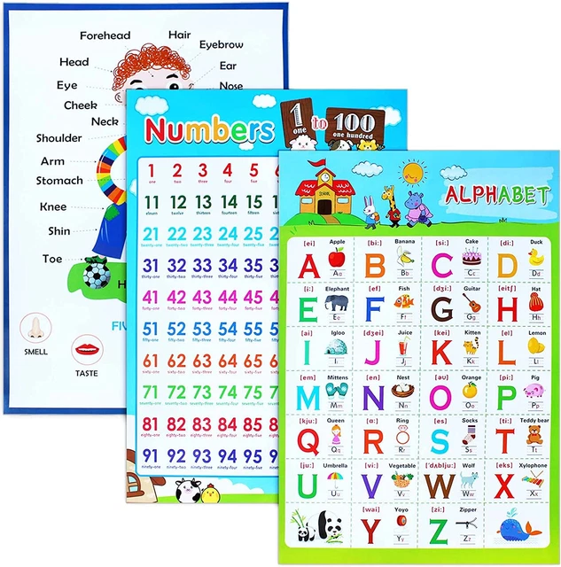 3 PIECES EDUCATIONAL Poster Laminated Wall Learning Chart Number and ...
