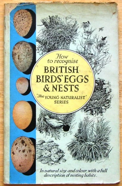 HOW TO RECOGNISE British Birds Eggs and Nests by Eric Pochin ...