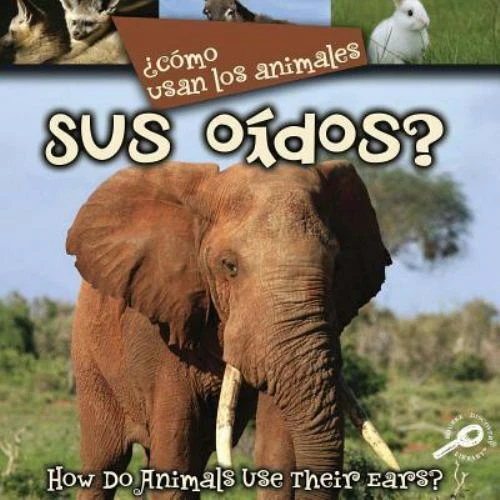 como-usan-los-animales-sus-oidos-how-do-animals-use-their-ears-como