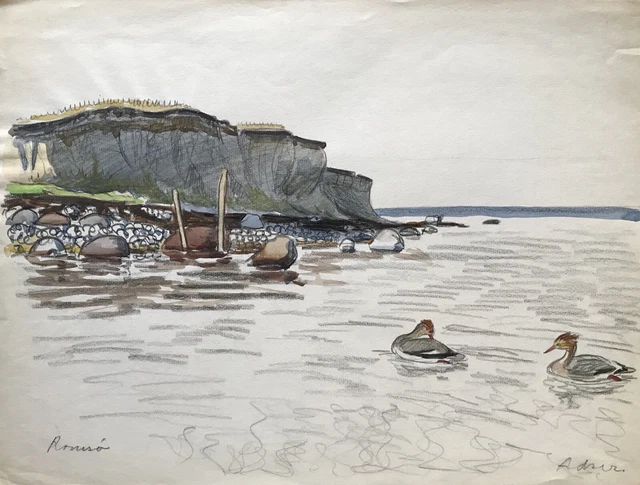 PLONGEUR CAPOT KARL Adser 1912-1995 sur la falaise Romsö Danemark ...