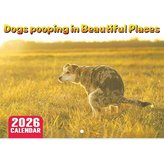 2026 DOG POOPING Humor Calendar, Scenic Location Canine Wall Planner £9 ...