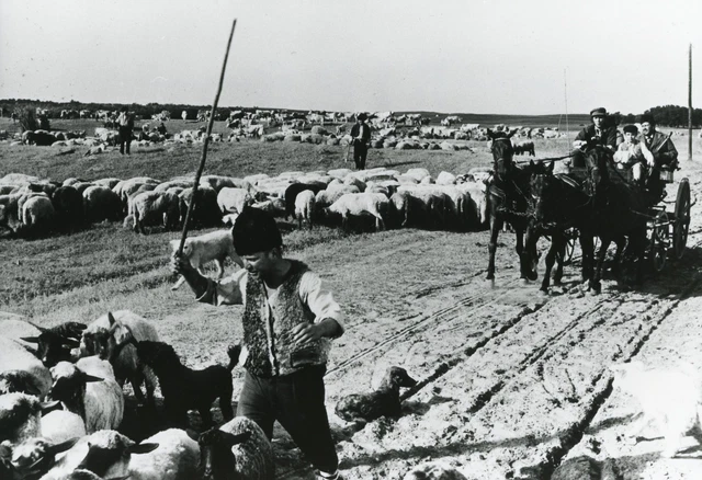 DANIELE SPALLONE &LA Steppe" (La Steppa) Tchekhov Alberto Lattuada ...