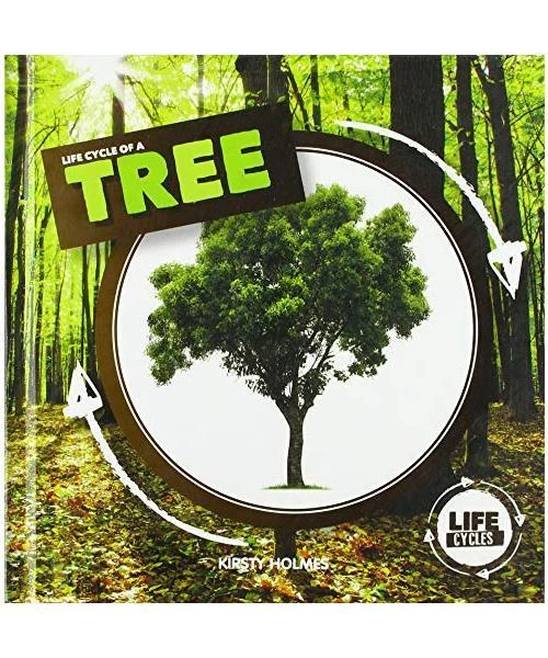LIFE CYCLE OF a Tree (Life Cycles), Holmes, Kristy EUR 45,04 - PicClick FR
