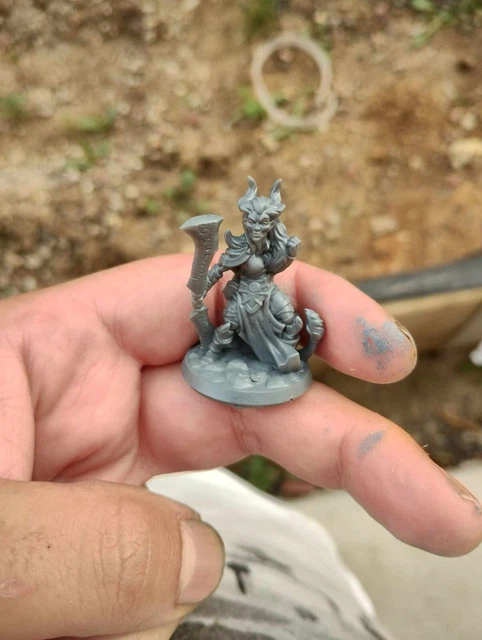 28MM MINIATURES, DEMONKIN female A, DND/pathfinder, tabletop, wargaming ...