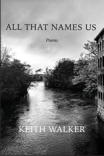 KEITH WALKER ALL That Names Us (Poche) EUR 20,16 - PicClick FR