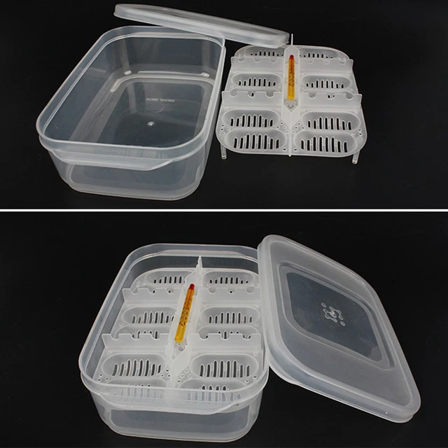 TRANSPARENT BREEDING ISOLATION Box Incubator Hatching Boxes for Snakes ...