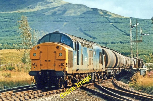 RAILWAY PHOTO 6X4 Class 37 37005 BR Blue Freight at Crianlarich c1982 £ ...
