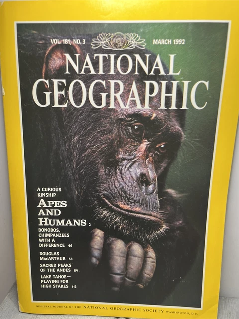 NATIONAL GEOGRAPHIC MAGAZINE March 1992 Apes & Humans - Vintage ...