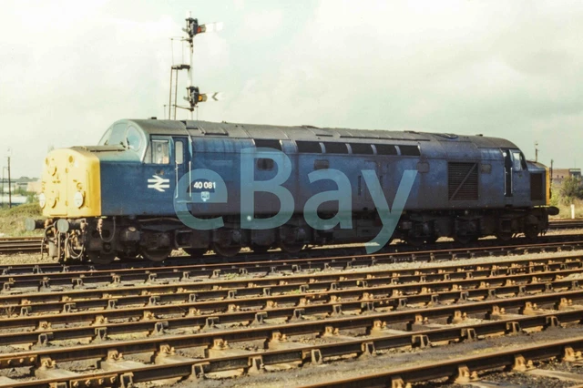 UK RAILWAY PHOTOGRAPH of Class 40 Locomotive 40081. RM40-68 £1.70 ...