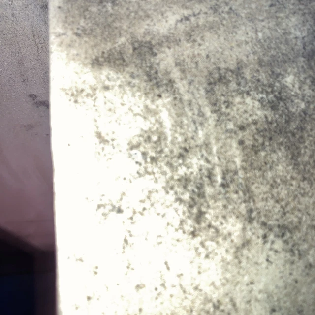 LONDON UNDERGROUND TUBE Map - Dated December 2024 TFL Normal Travel ...