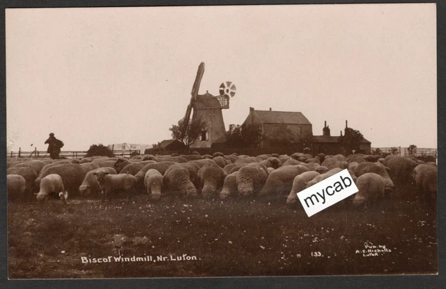 POSTCARD BISCOT LUTON Bedfordshire sheep Windmill early RP by Nicholls ...
