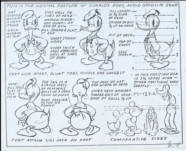 DONALD DUCK DISNEY ANIMATION Model Sheet PHOTOCOPY Donalds Body ...