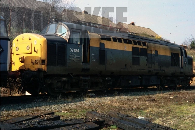 35MM SLIDE BR British Rail Diesel Loco Class 37 37184 1996 Bescot ...