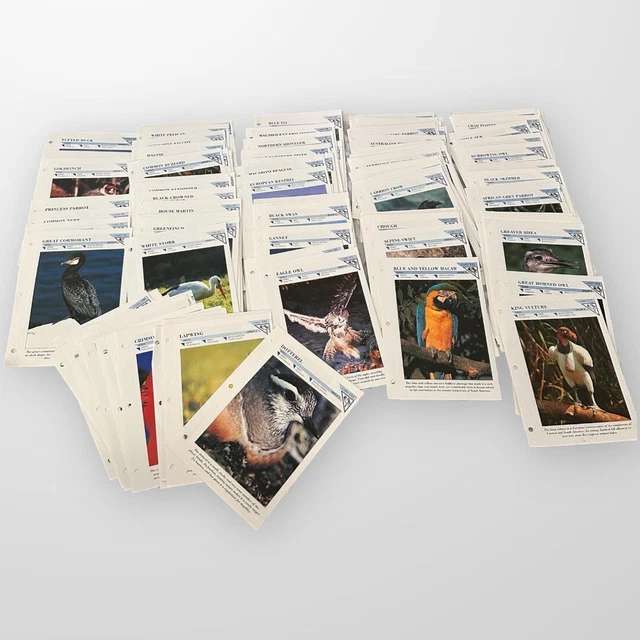 BIRDS WILDLIFE FACT File Fold-Out Card Bulk Lot Collectable Educational ...
