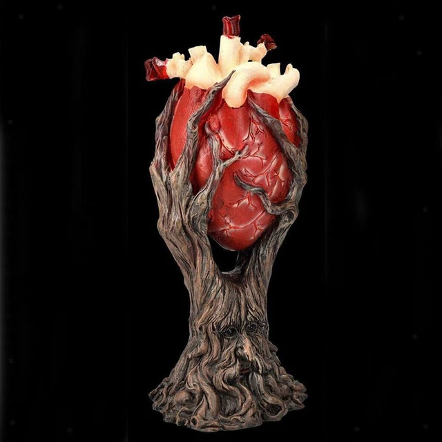 HUMAN HEART STRUCTURE Model Structure for Office Bookshelf Housewarming ...