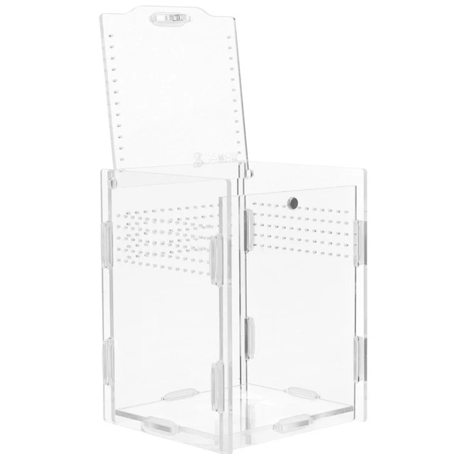 CLEAR CONTAINERS FOR Feeding Transparent Reptile Breeding Case Box $22. ...