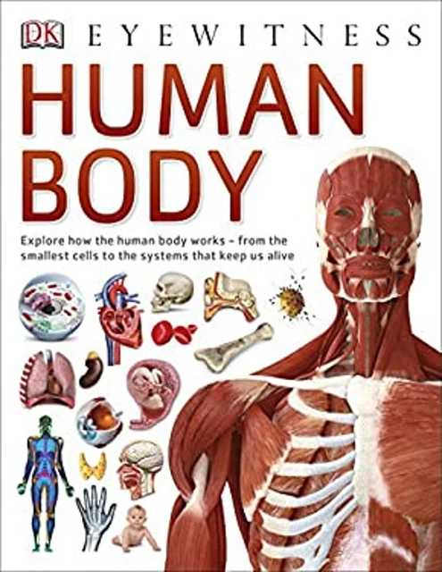 CORPS HUMAIN: EXPLORE How The Human Body Works - De The Smallest EUR 6 ...
