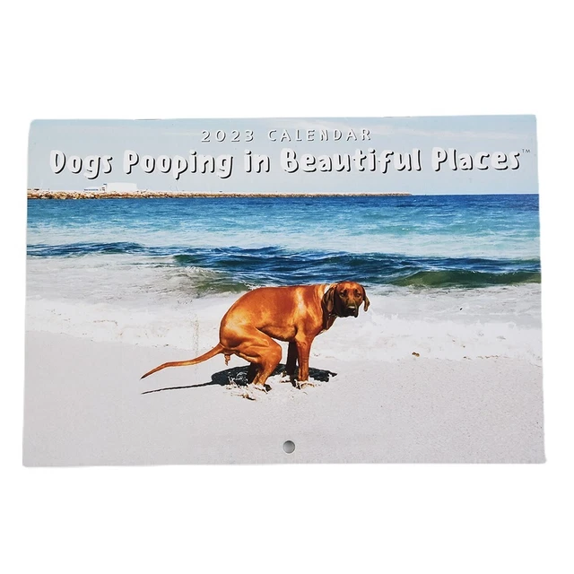 DOGS POOPING IN Beautiful Places 2023 Wall Calendar Funny Dog NEW YEAR ...