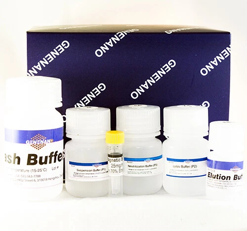 Endofree Plasmid Dna Extraction Kit Using Magnetic Beads 5 Midiprep Eur
