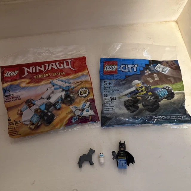 LEGO NINJAGO DRAGONS Rising 30674 2 in 1 New With City 30664 And Batman ...